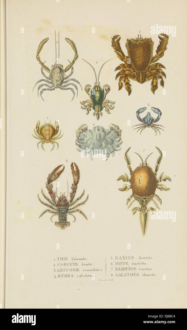 Covering a wide range of academic hi-res stock photography and images ...