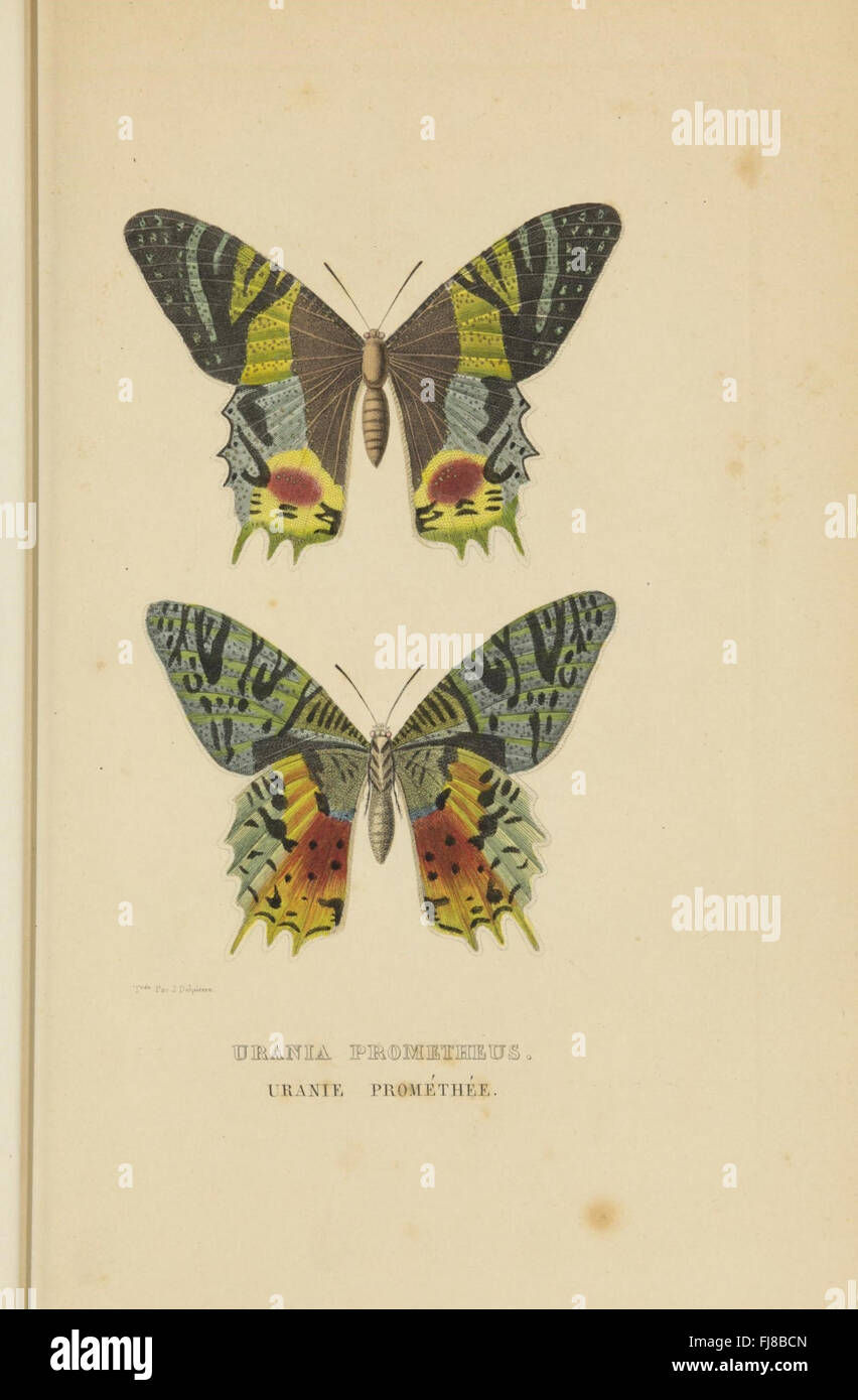 A classic dictionary of natural sciences, encompassing a wide range of ...