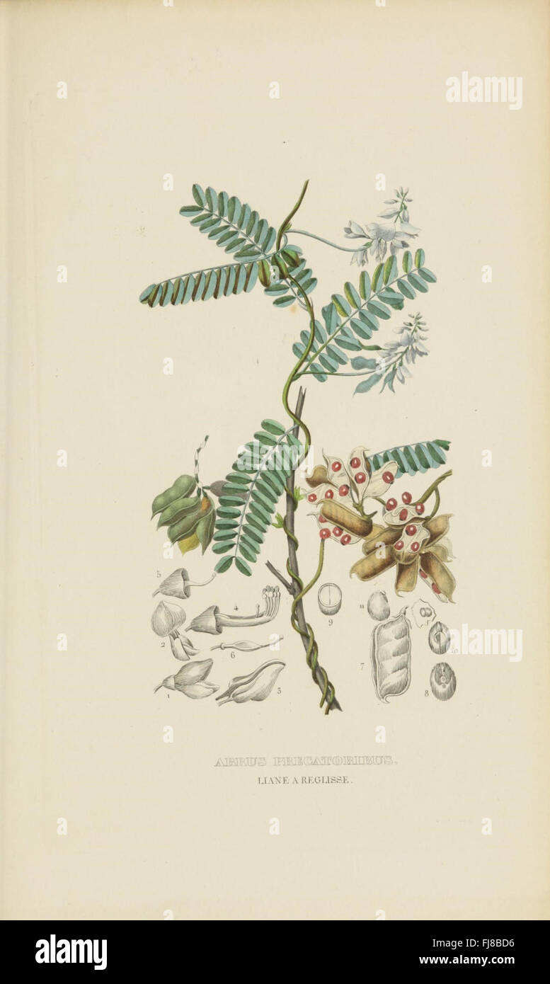 Dictionnaire Classique des Sciences Naturelles, a classic French ...