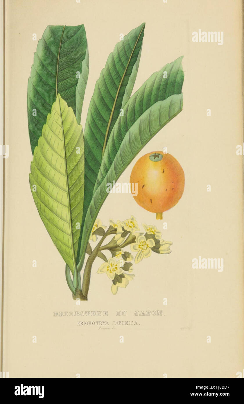 A French dictionary covering the classic natural sciences, providing ...