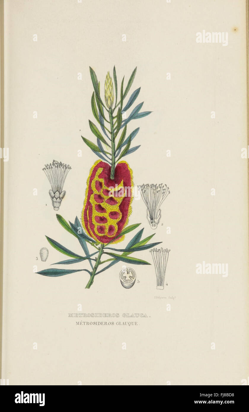 A comprehensive French dictionary of natural sciences, focusing on ...