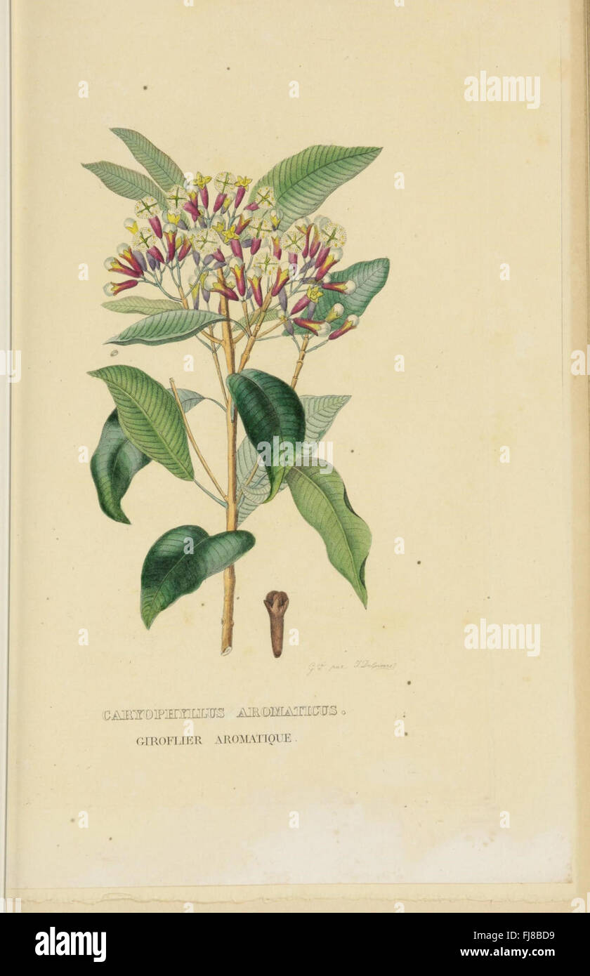 A classical dictionary covering a broad range of topics in natural ...