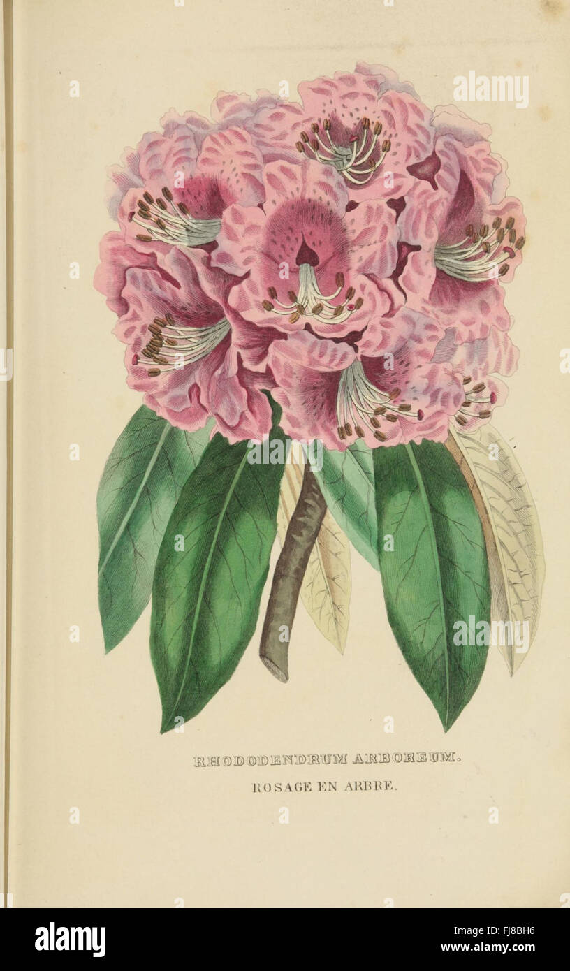 Comprehensive natural history dictionary covering scientific ...