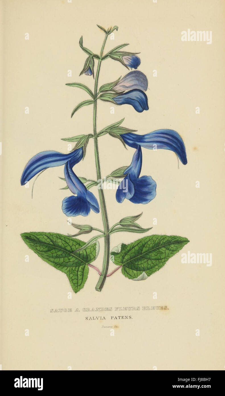 A classical dictionary of natural sciences, covering various fields ...