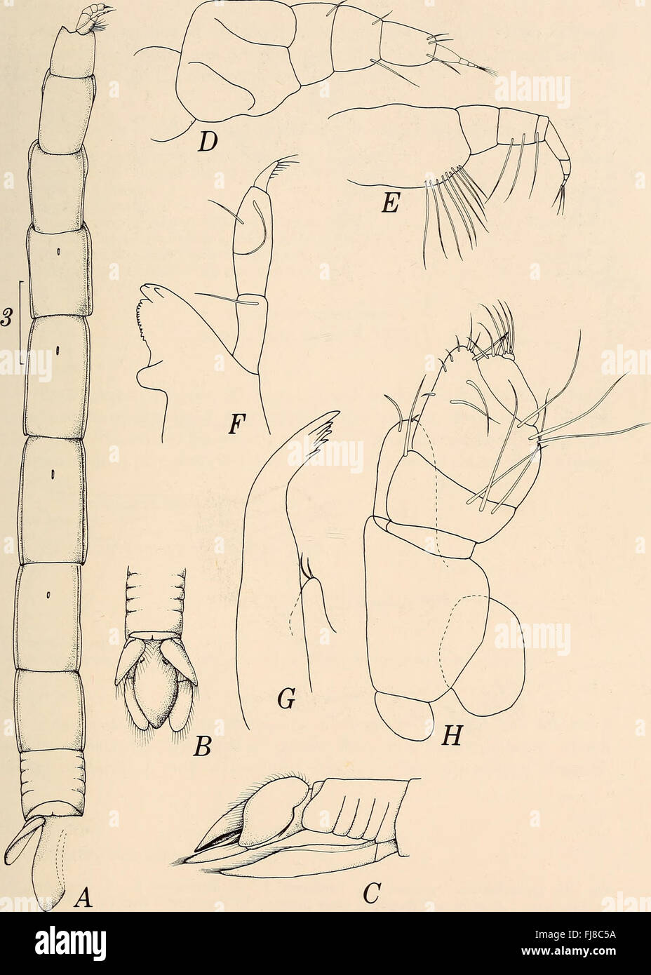 A scientific journal documenting the research and collections of the ...