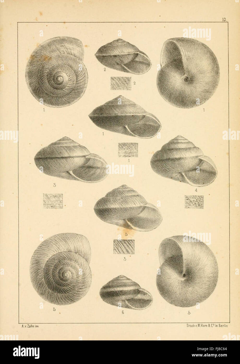 A scientific account of the Prussian expedition to East Asia, detailing ...