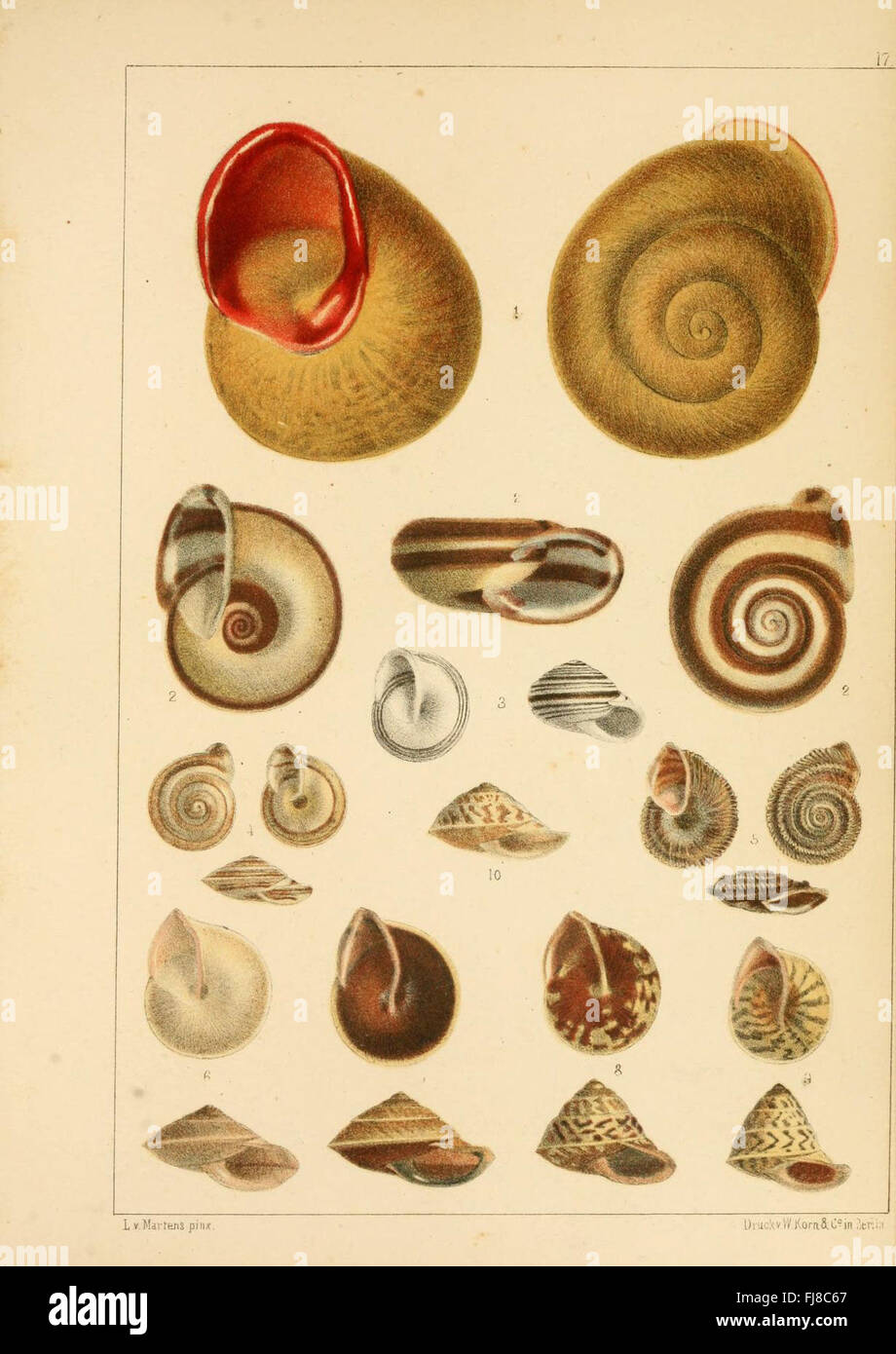 A detailed account of the Prussian expedition to East Asia, exploring ...