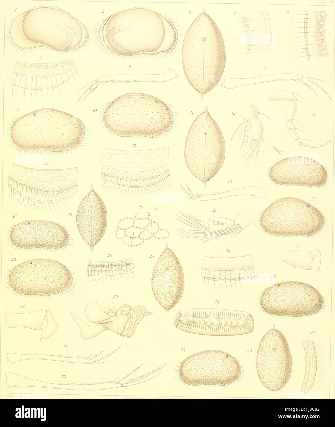 A detailed study of freshwater microfauna in German East Africa (now ...