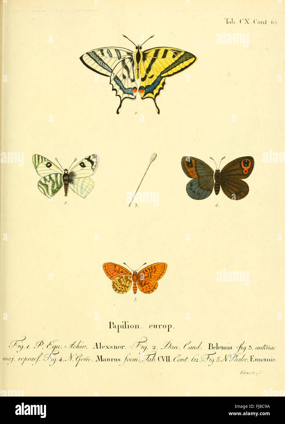 Collection of scientific illustrations hi-res stock photography and ...