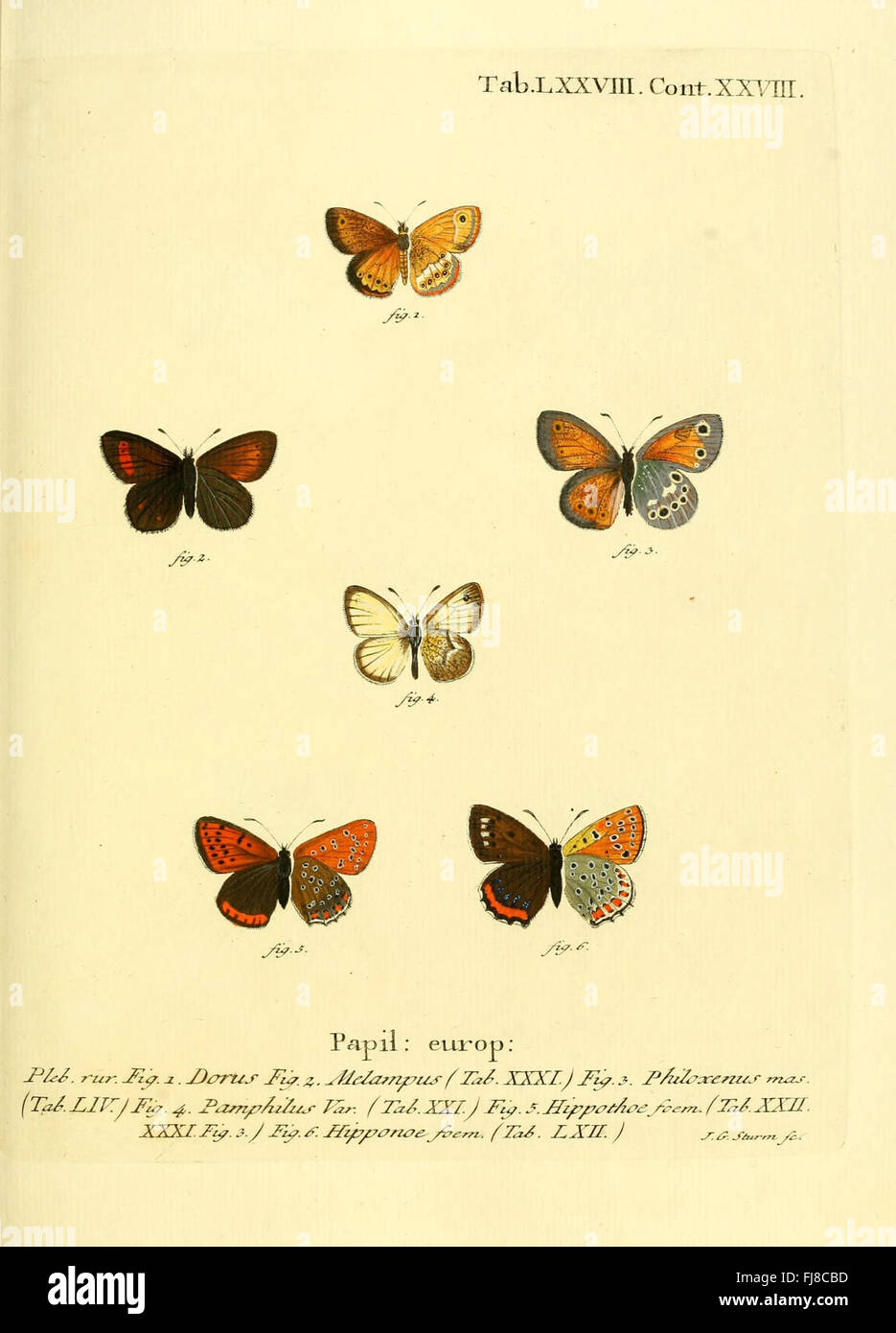 Understanding insect biodiversity hi-res stock photography and images ...