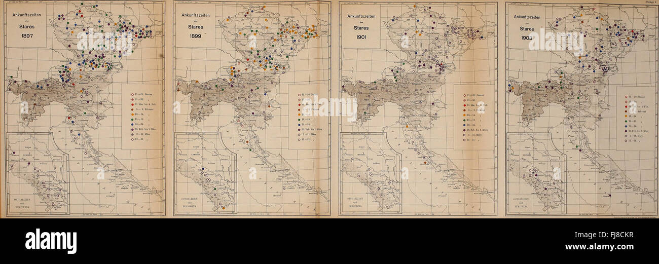 A report on ornithological observations in Austria, documenting bird ...