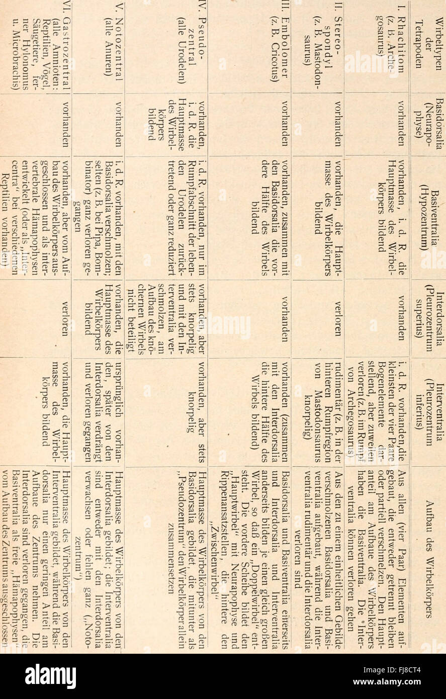A 1919 work on the classification and anatomical features of vertebrate ...