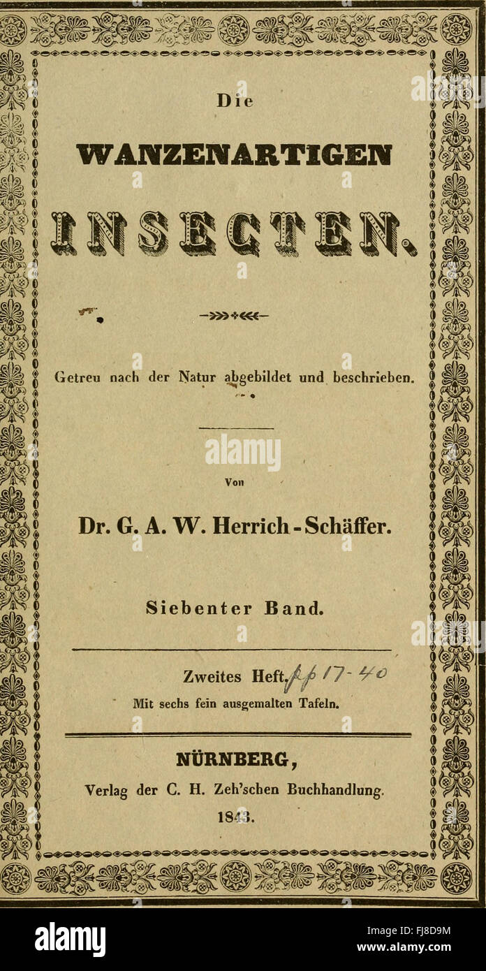 A detailed study of true bugs (Hemiptera), featuring accurate ...