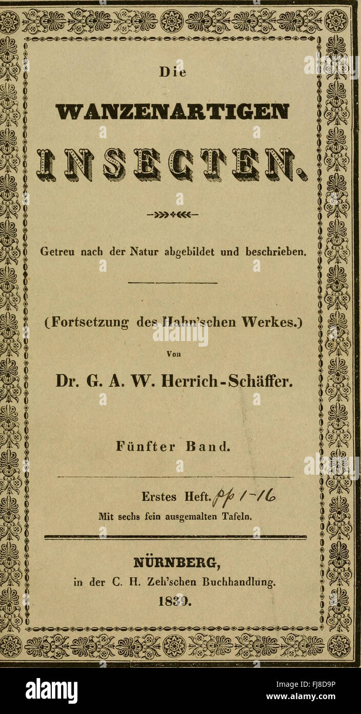 A detailed description and illustration of Hemiptera (true bugs ...