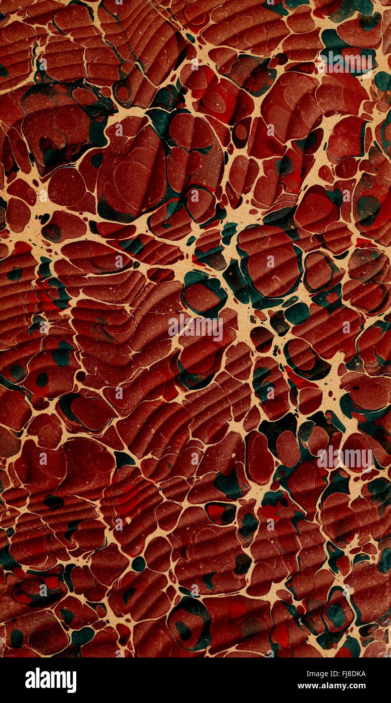 A work focused on new or little-known species of Diptera (flies ...