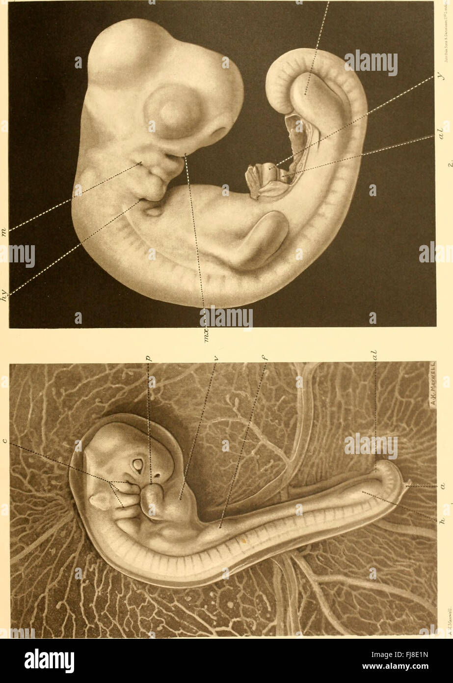 Handwritten report hi-res stock photography and images - Alamy