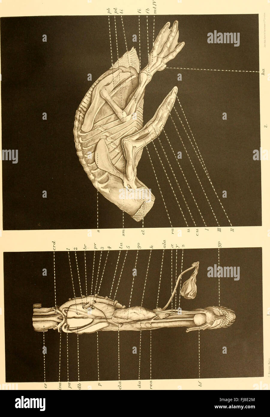 The 'Discovery Reports' from 1932 contain valuable historic information ...