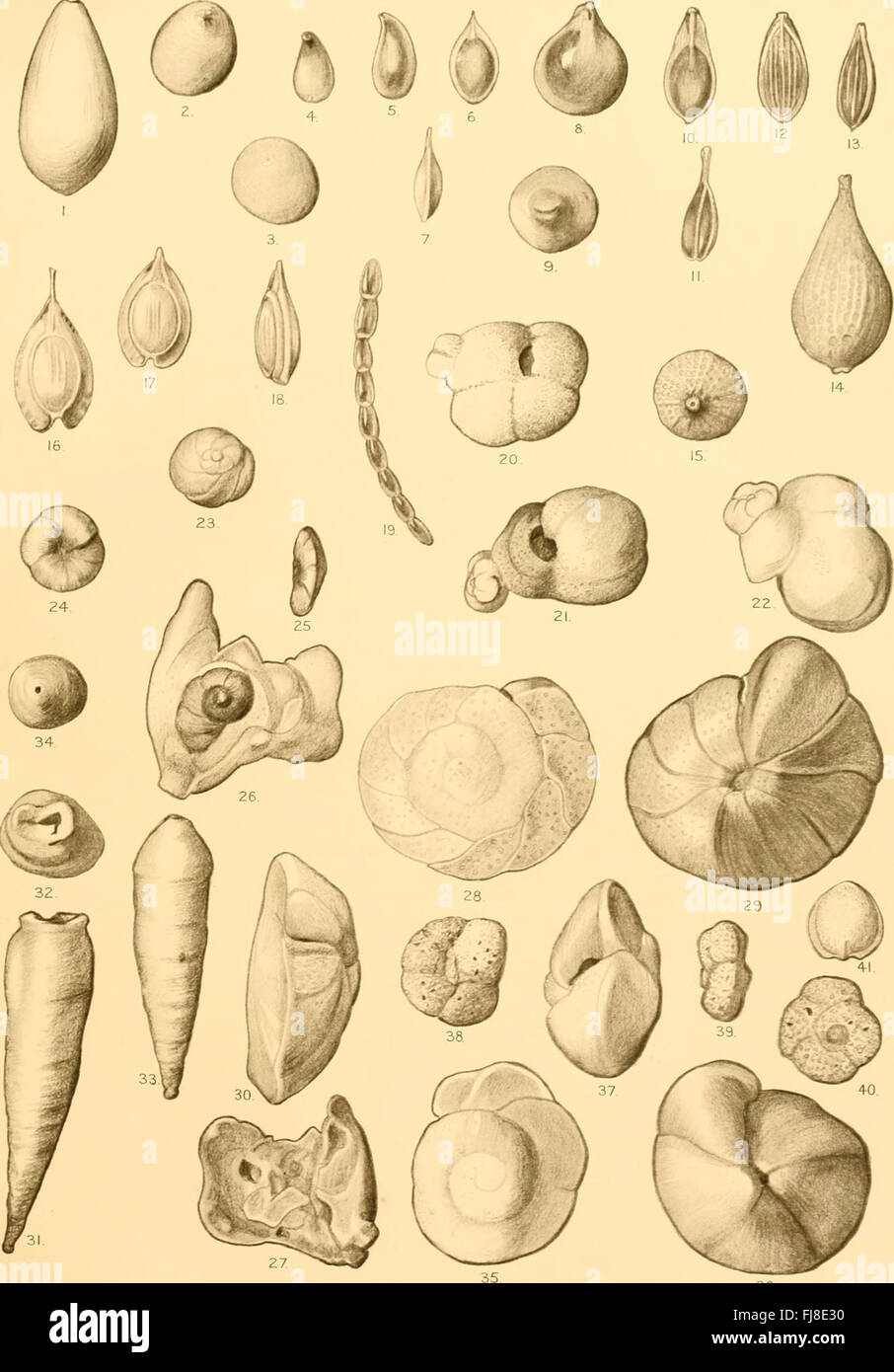 Discovery Reports from 1933 provide historical records and scientific ...