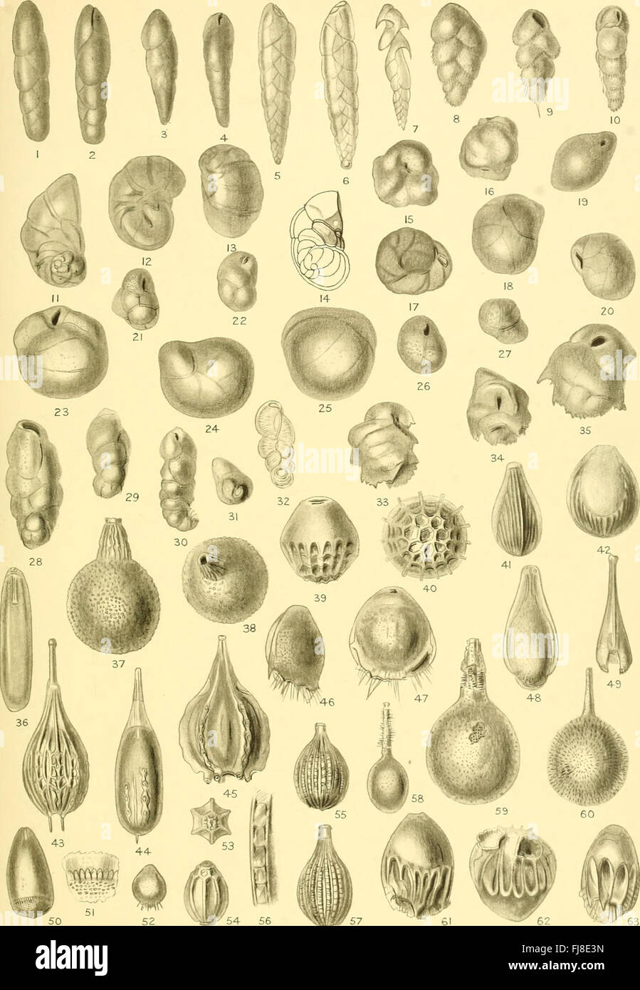 A collection of reports from 1935 detailing significant historical ...