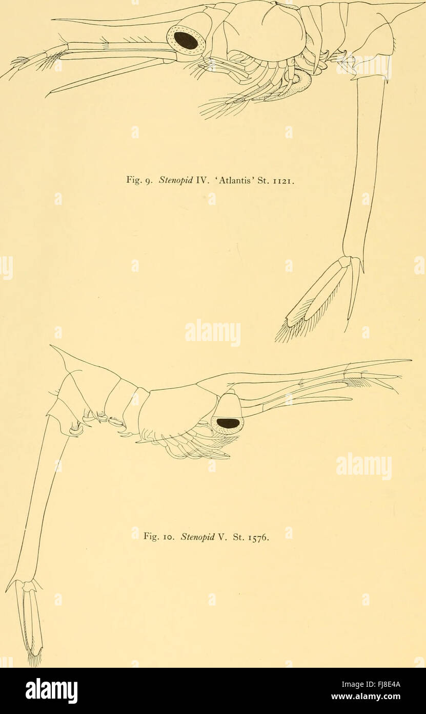 A historical document from 1936, featuring discovery reports with ...