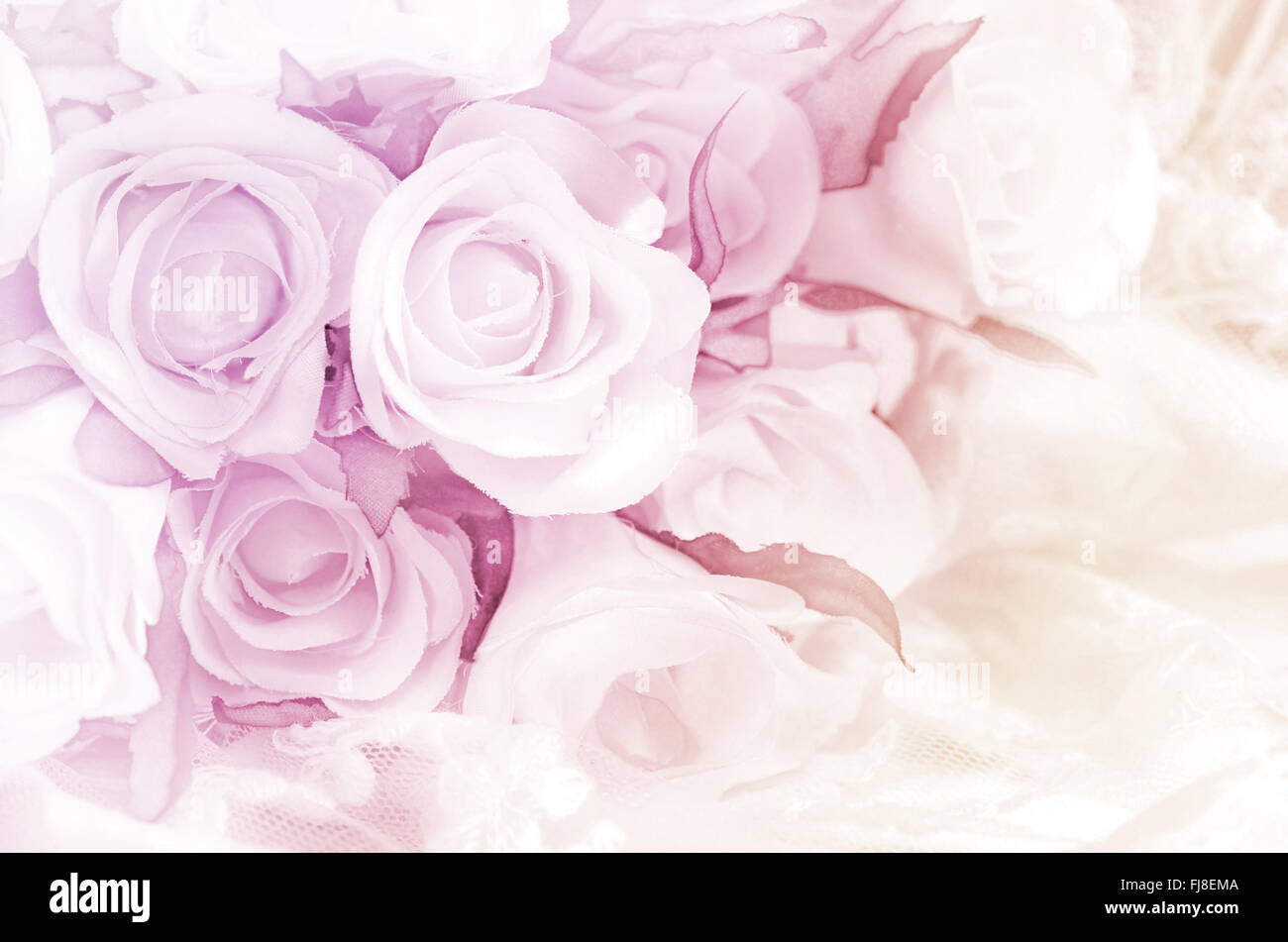 Rose Bouquet with Soft Focus Color Filtered as Background Stock Photo ...