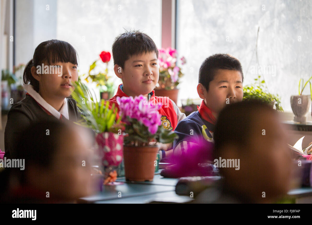 Hohhot, China's Inner Mongolia Autonomous Region. 1st Mar, 2016. Pupils ...