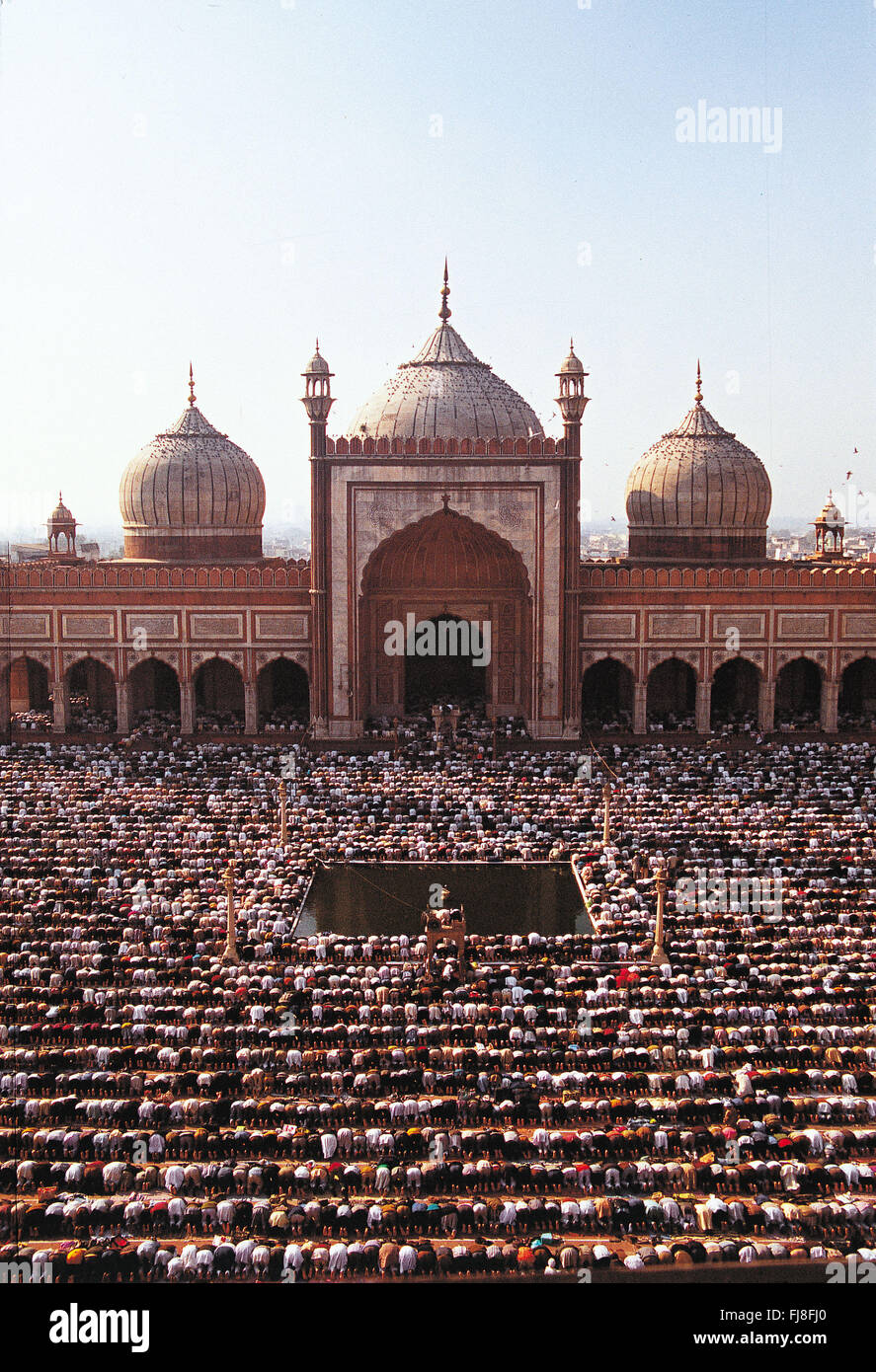 Jama masjid, delhi, india, asia Stock Photo - Alamy