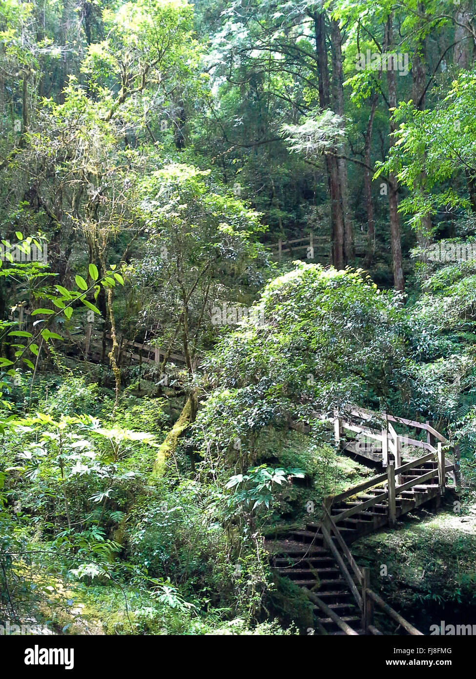 Flora of taiwan hi-res stock photography and images - Alamy