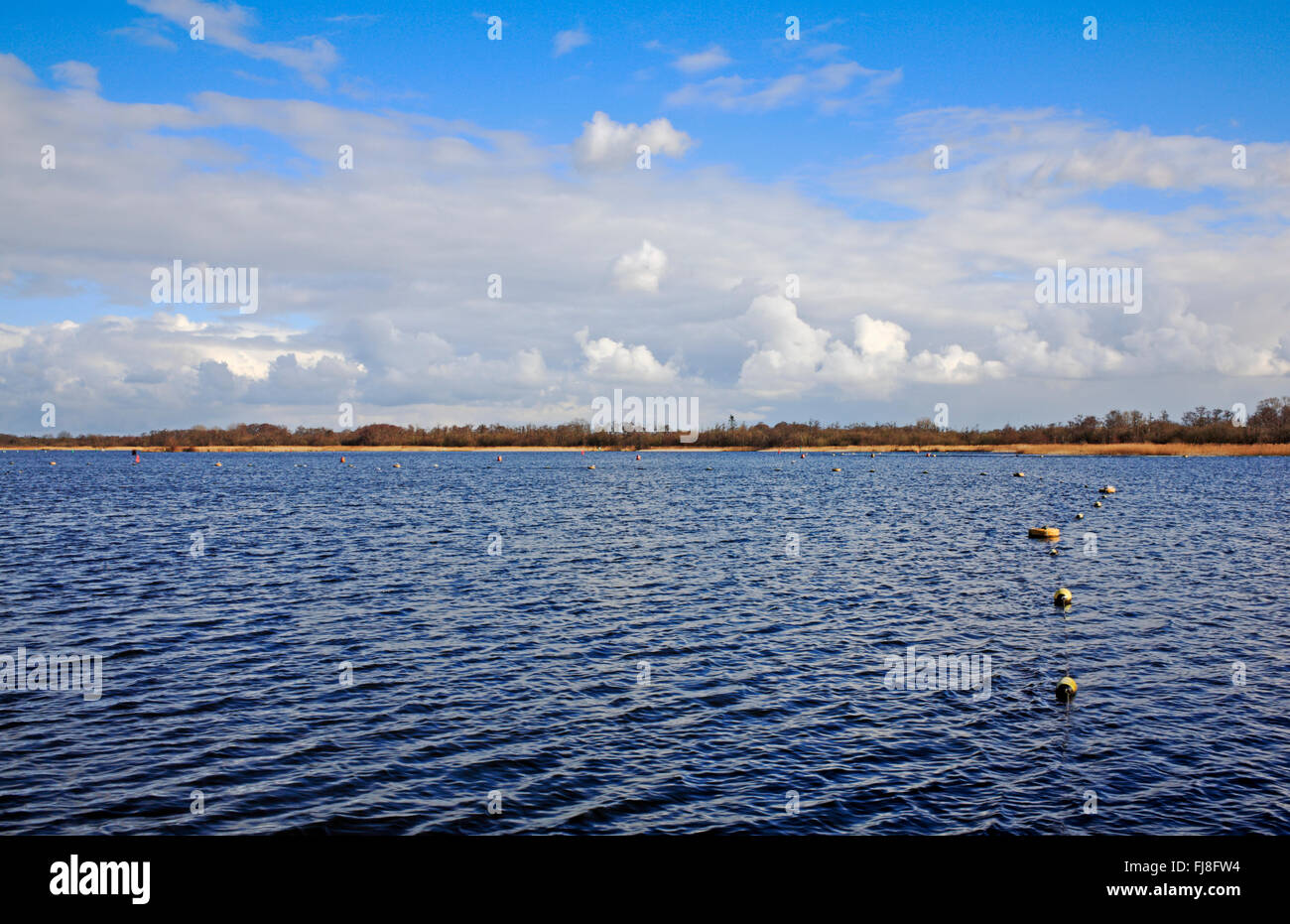 A view of the large expanse of open water at Barton Broad on the ...