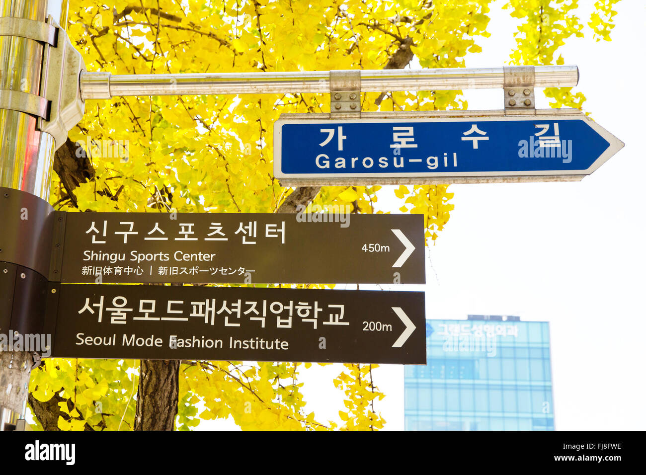 Gangnam seoul garosugil hi-res stock photography and images - Alamy