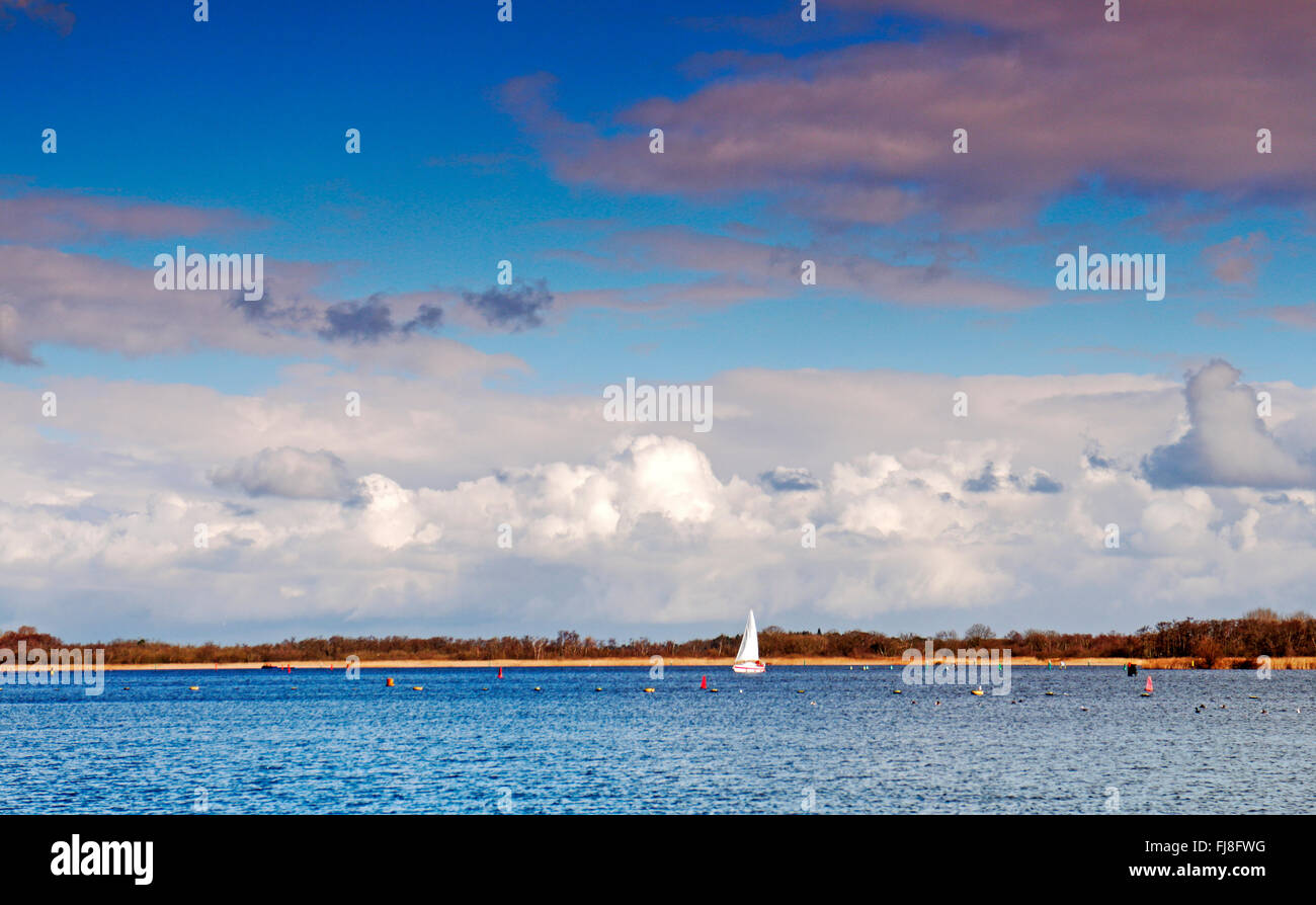 A lone yacht sailing in winter on Barton Broad on the Norfolk Broads ...