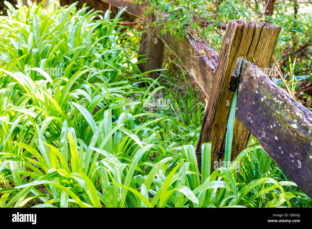 Timber fencing hi-res stock photography and images - Alamy