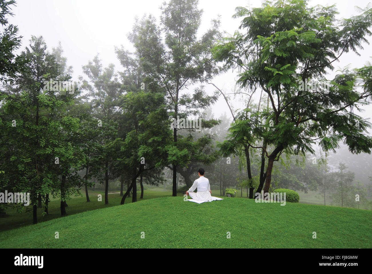 Indian woman forest meditation hi-res stock photography and images - Alamy