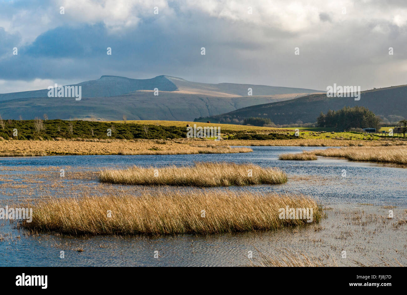 Pen y Fan and Corn Du from Mynydd Illtyd Common Brecon Beacons south ...