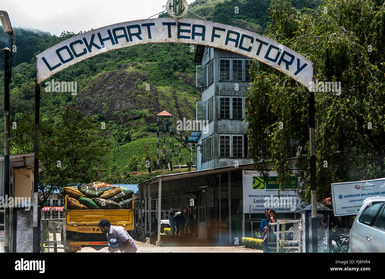 Lockhart tea factory, munnar, kerala, india, asia Stock Photo - Alamy