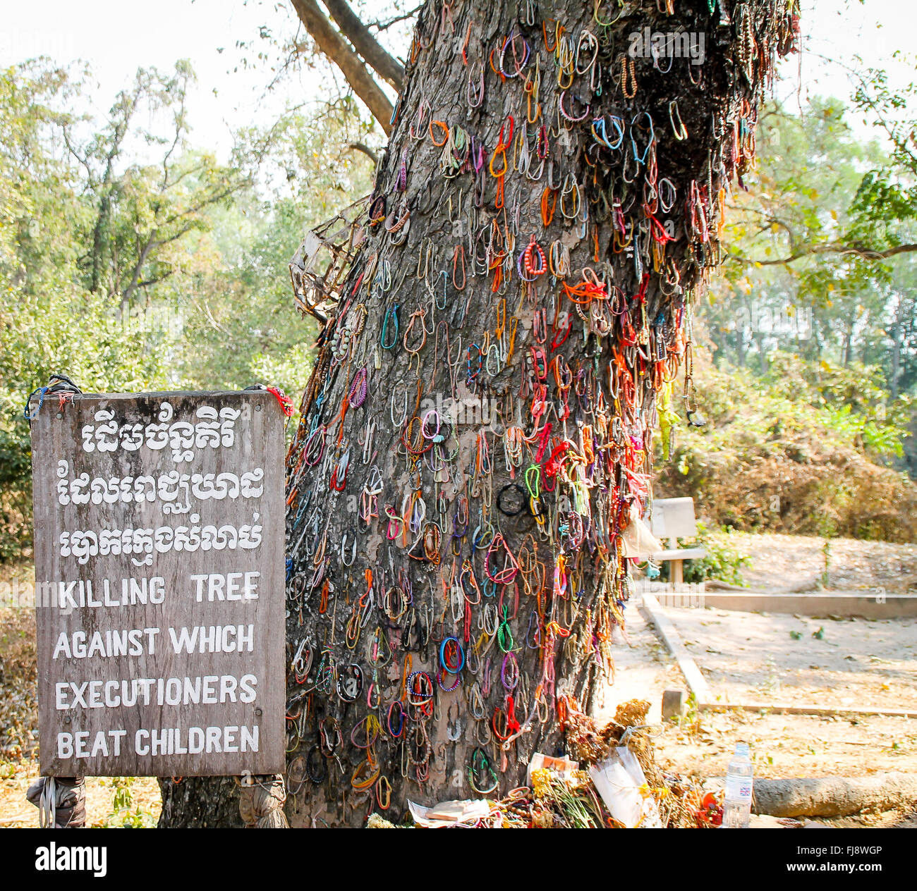 Killing tree against which executioners beat children, Phnom Penh Stock ...