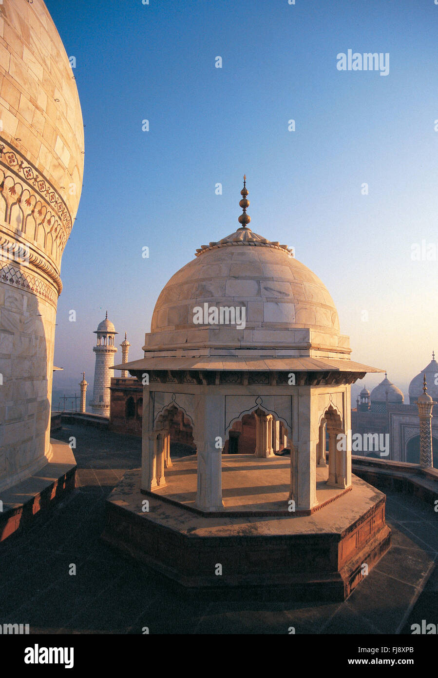 Chhatri of taj mahal hi-res stock photography and images - Alamy