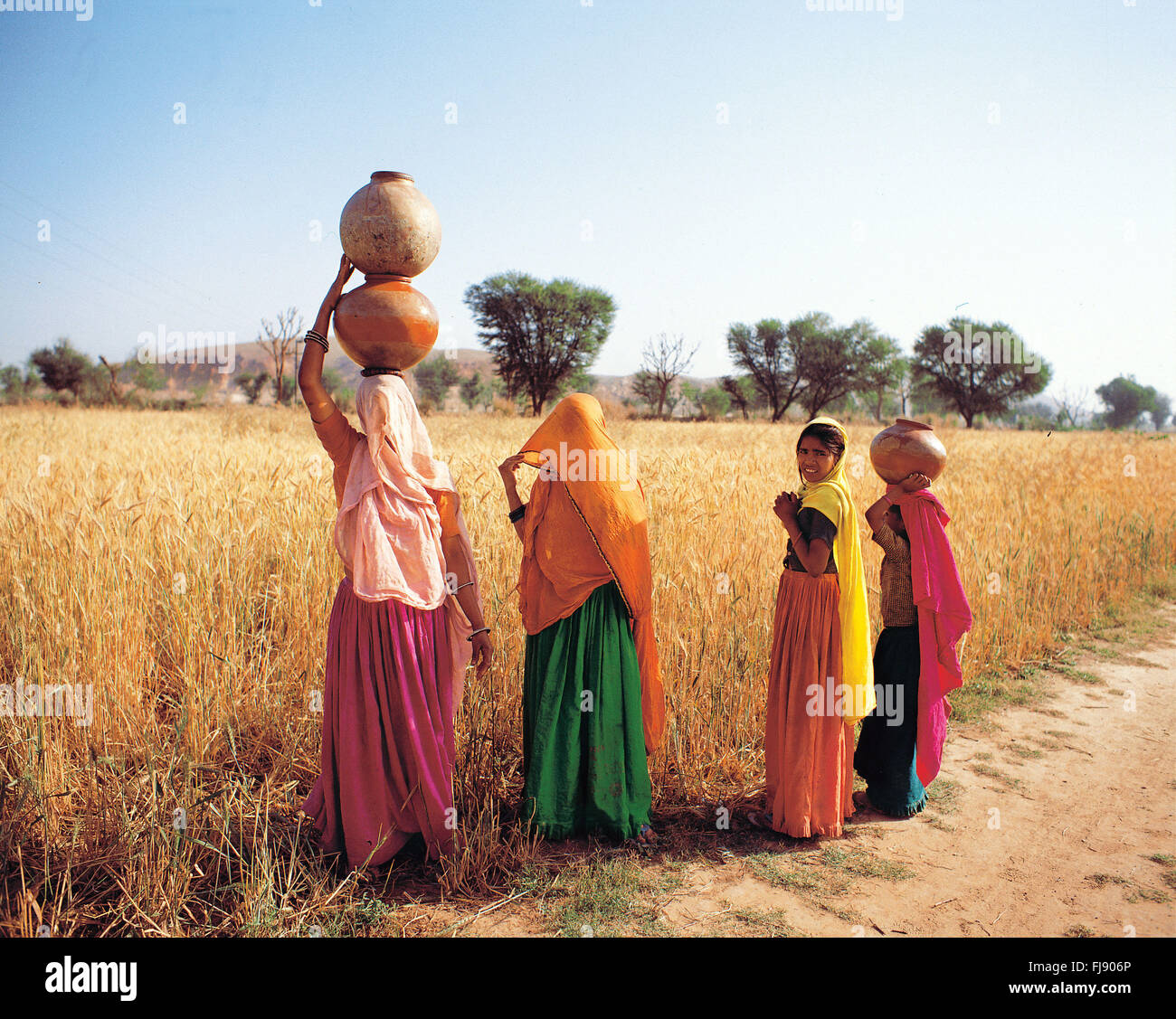 Woman carrying water pot, rajasthan, india, asia Stock Photo - Alamy