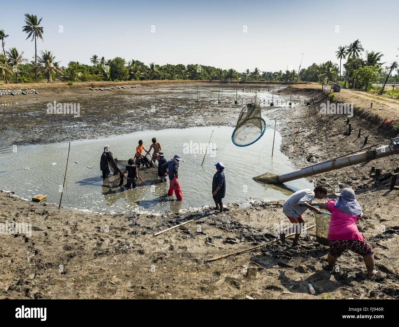Aquaculture fish farming in thailand hi-res stock photography and ...