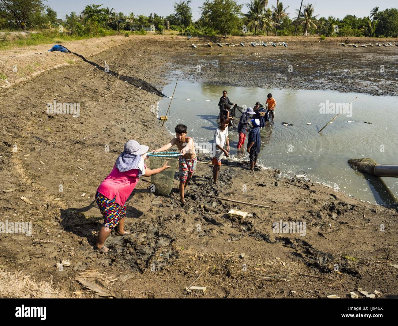 Aquaculture fish farming in thailand hi-res stock photography and ...