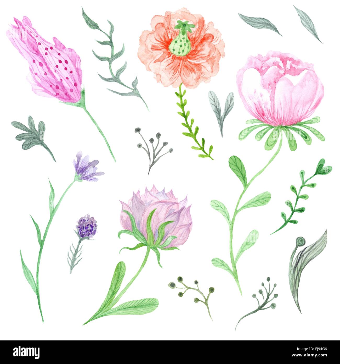 Beautiful collection of tender hand-painted eco floral elements and ...