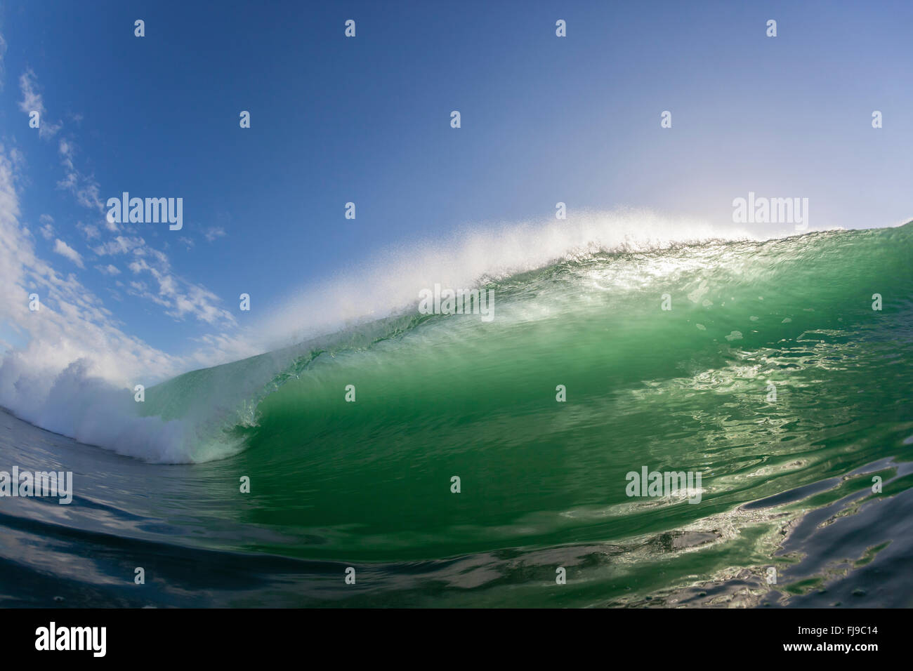 Ocean wave swimming inside closeup photo of curling crashing scenic ...