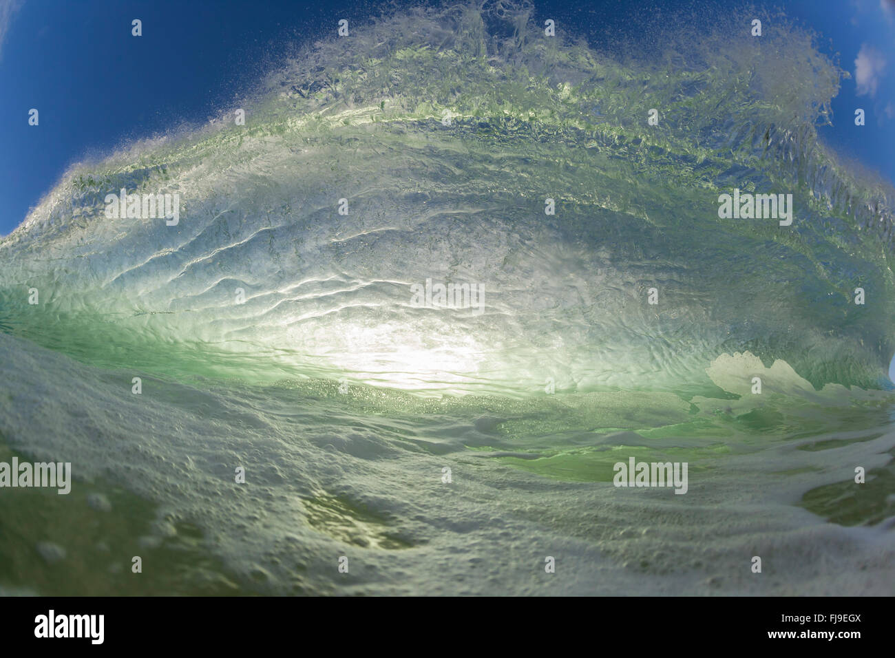 Ocean wave swimming inside closeup photo of curling crashing scenic ...