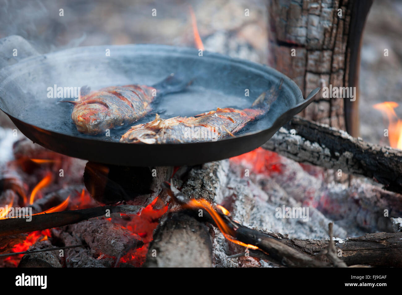 Campfire meals hi-res stock photography and images - Alamy