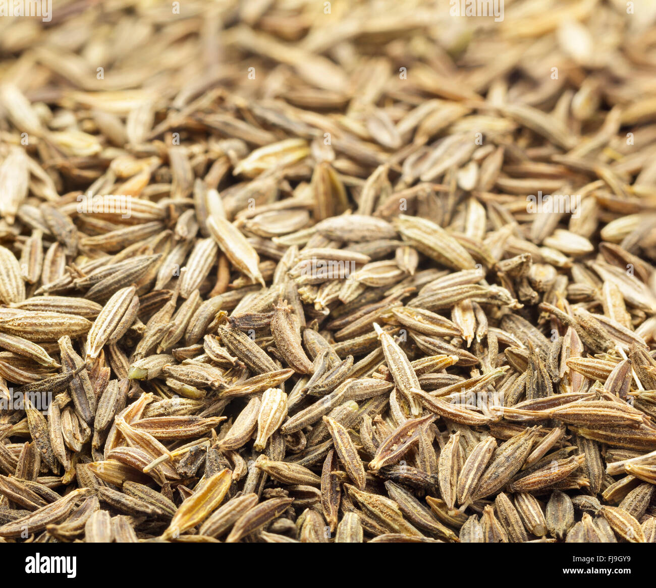 Cumin seeds hi-res stock photography and images - Alamy