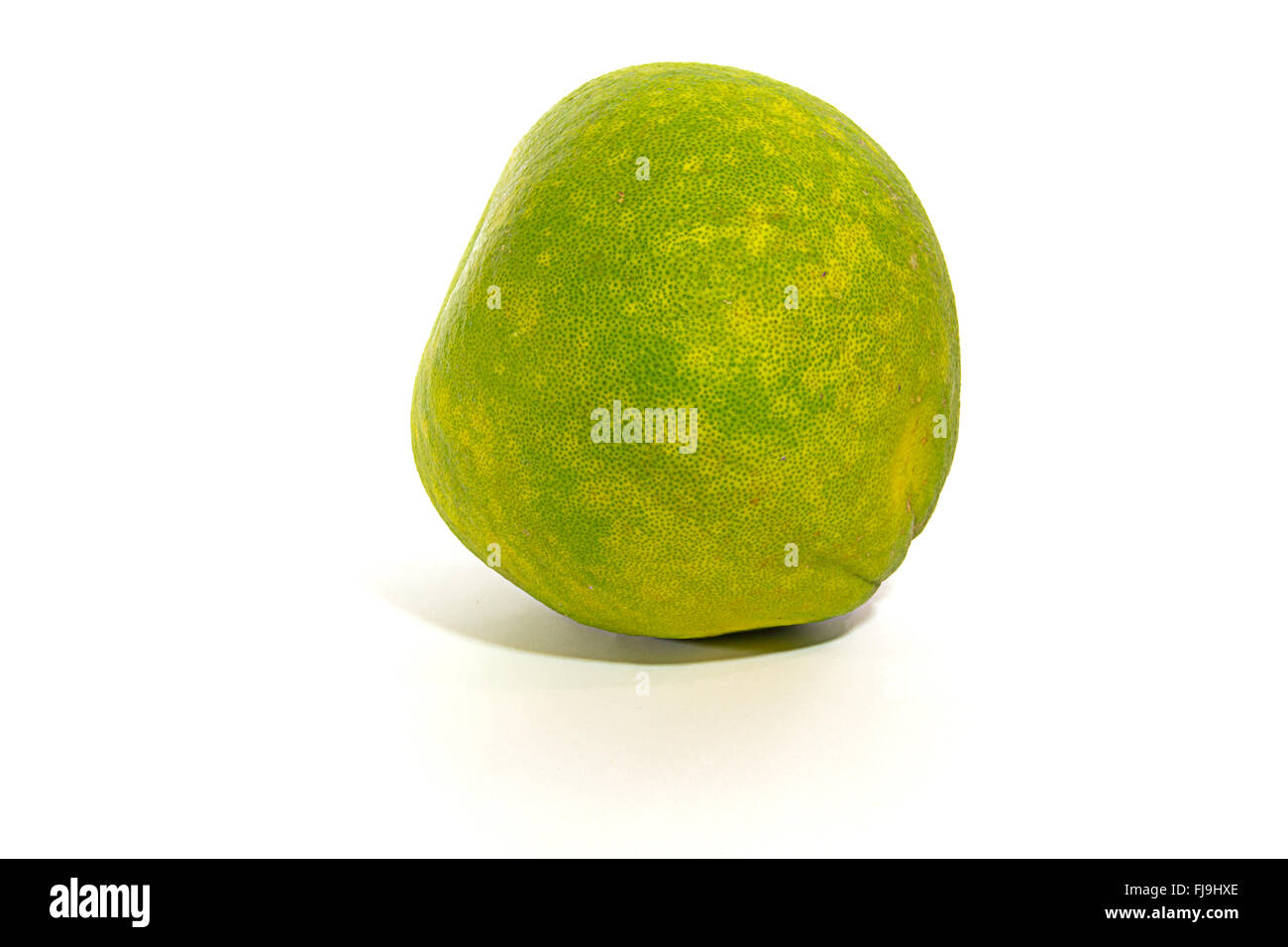 green grapefruit on white background isolated Stock Photo - Alamy
