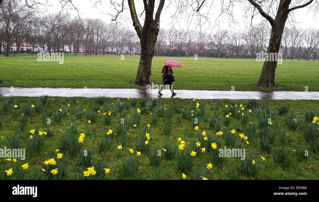 London, UK. 1st March, 2016. UK Weather: A person with an umbrella ...
