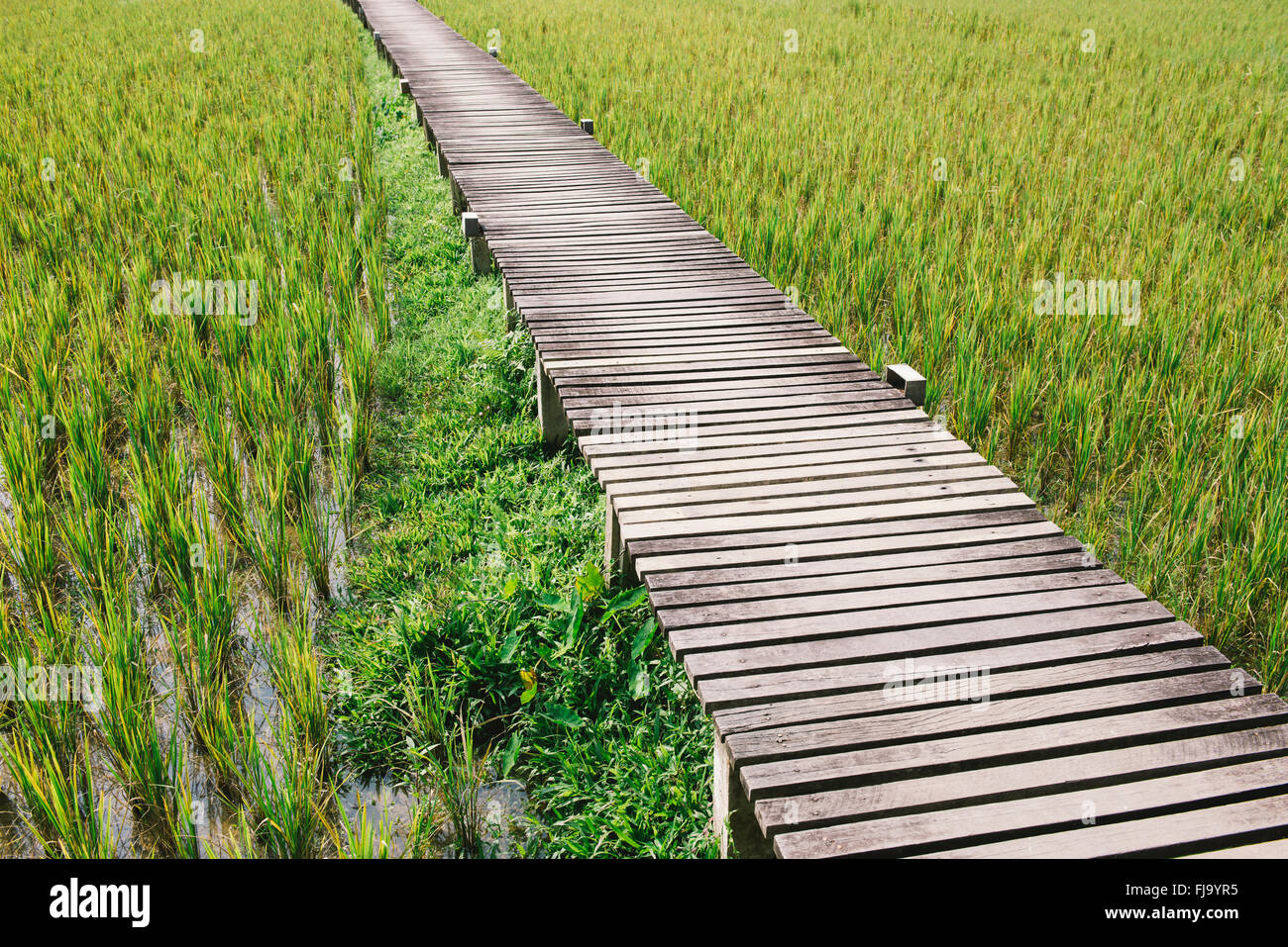 Single lane wood bridge hi-res stock photography and images - Alamy