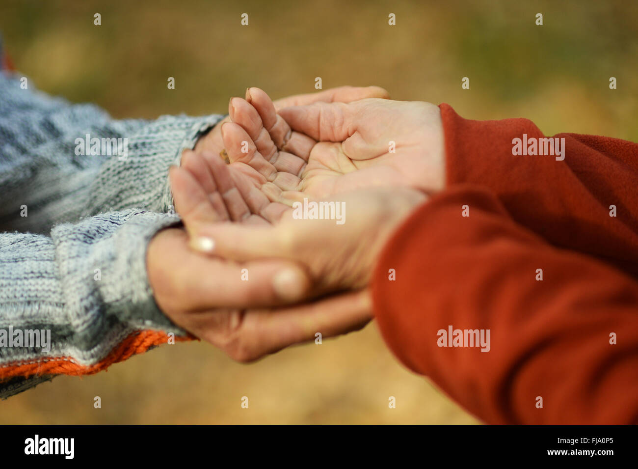 Couple of hands together Stock Photo - Alamy