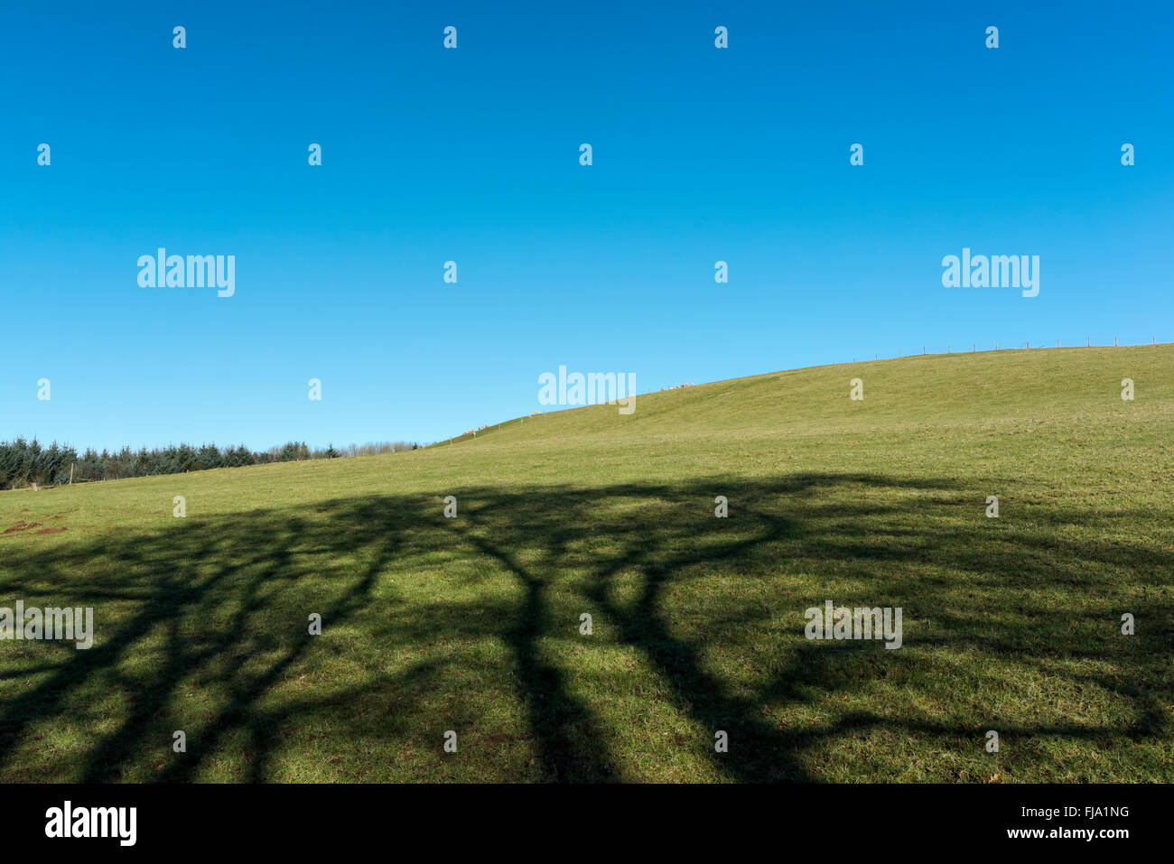 Low field of view hi-res stock photography and images - Alamy